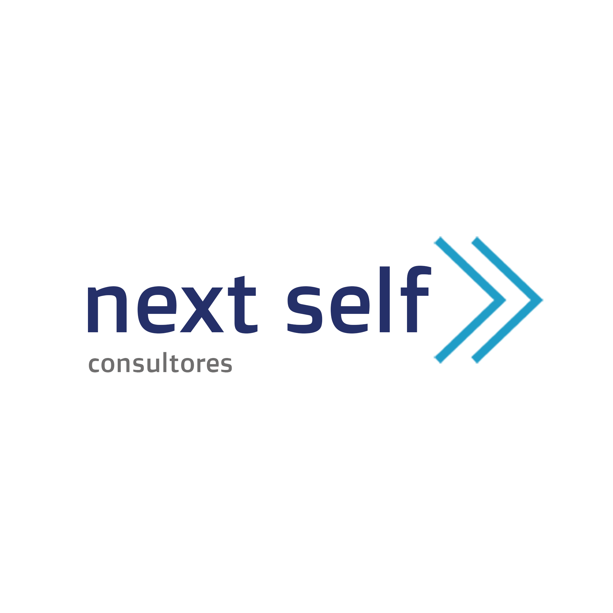 Consultoría en Liderazgo y Procesos - Next Self Consultores